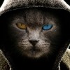 Django Ecommerce with Source Code - Itsourcecode.com