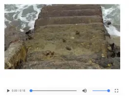 HTML5 Video Tag - Beginners Guide for Web Developers - 012