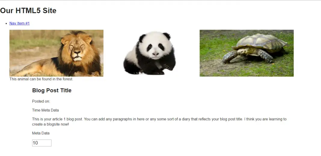 HTML5 Form Input Type - Beginners Guide for Web Developers - 009
