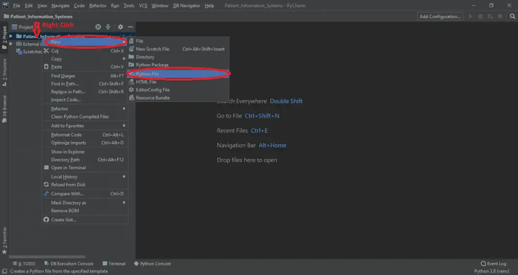 Patient Information System In Python With Source Code - Video - 2022