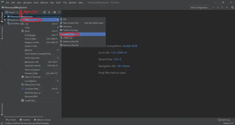 Billing System Project in Python With Source Code - VIDEO | 2022