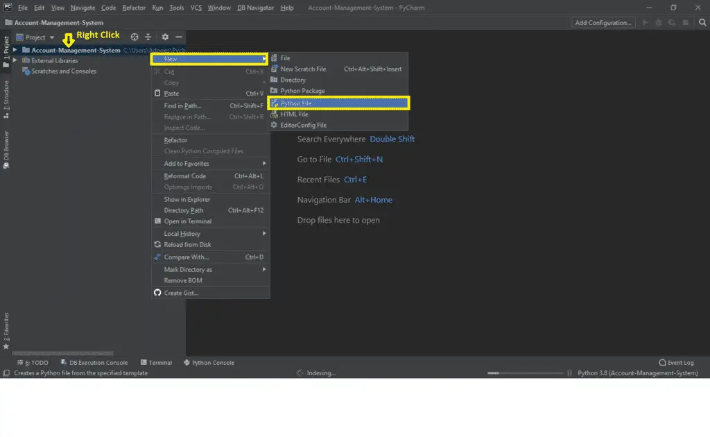 Account Management System in Python with Source Code
