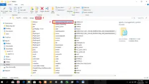 Sports Management System Project In PHP Download