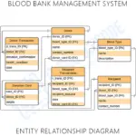 ER Diagram for Blood Bank Management System