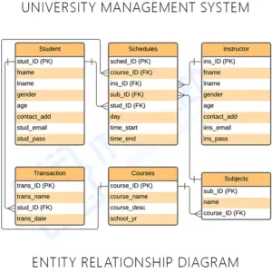 ER Diagram for University Management System