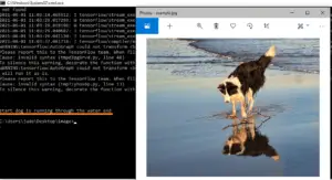 Image Caption Generator with CNN & LSTM in Python