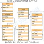 ER Diagram for Gym Management System - Itsourcecode.com