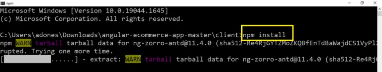 Ecommerce Website Project in Angular JS and MySQL