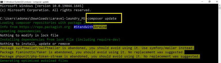 Laundry Management System Project in Laravel with Source Code
