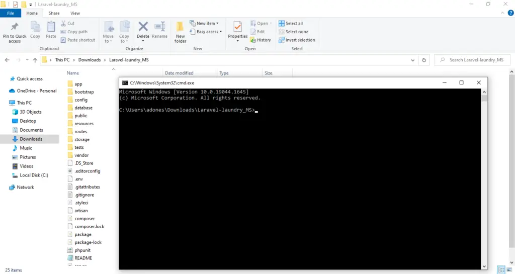 Laundry Management System Project In Laravel With Source Code