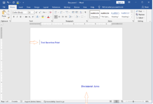 Different Ways of Entering Text in MS Word