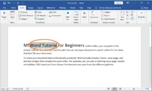 How to Select Text in MS Word - Select Text in MS Word