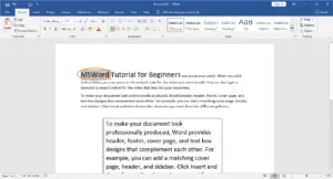 How to Select Text in MS Word - Select Text in MS Word