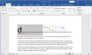 How to Insert Text in MS Word - Insert Text in MS Word