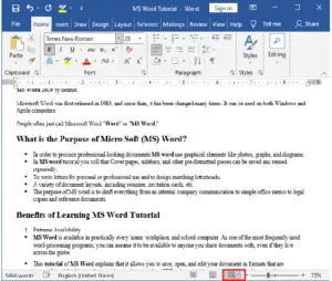 What Are Different Parts Of MS Word Window And Functions?