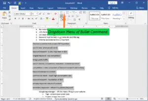 How to Apply Bullets and Numbering in MS Word