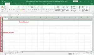 Modifying Rows and Columns In Excel