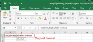 How To Copy Format In Excel Easy Way Shortcuts