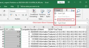 Modifying Rows and Columns In Excel