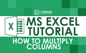 How to Multiply Columns in Excel With Examples