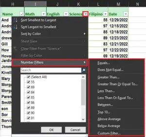 How to Filter in Excel With Advance Filtering Tool & Example