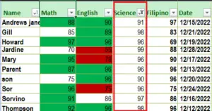 How to Filter in Excel With Advance Filtering Tool & Example