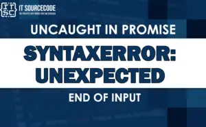 Uncaught in promise syntaxerror: unexpected end of input