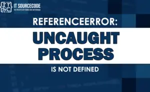 Uncaught referenceerror: process is not defined [SOLVED]