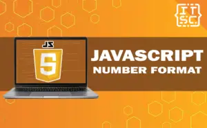 Numberformat JavaScript | Formatting Numbers Made Easy