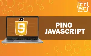 Pino JavaScript with Example Codes and Methods