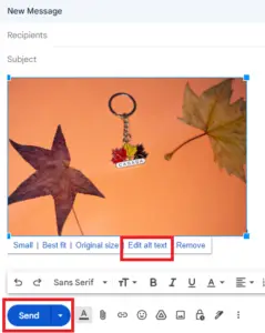 How to Put or Insert an Image in Email Body in Gmail?