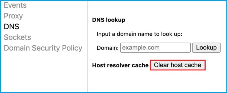 401 Unauthorized Error: What Does it Mean and How to Fix it?